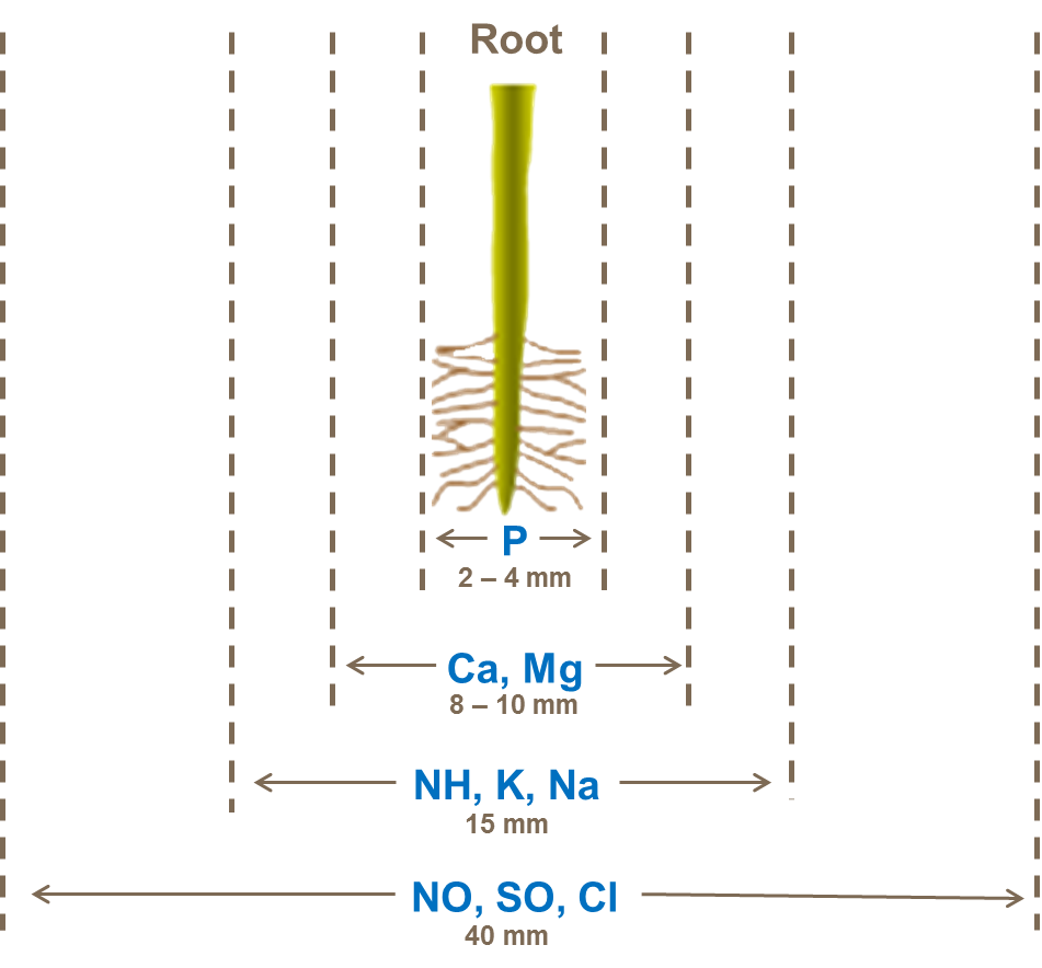 How to influence potato tuber numbers – ROS FARM