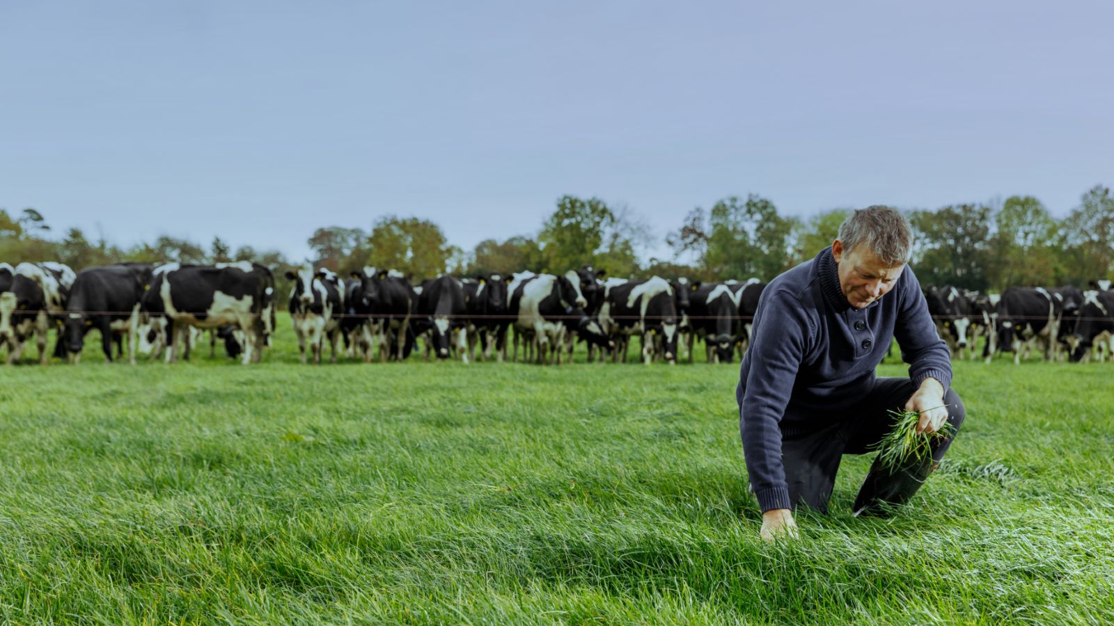 Yara Ireland - Find the best fertilisers for your farm